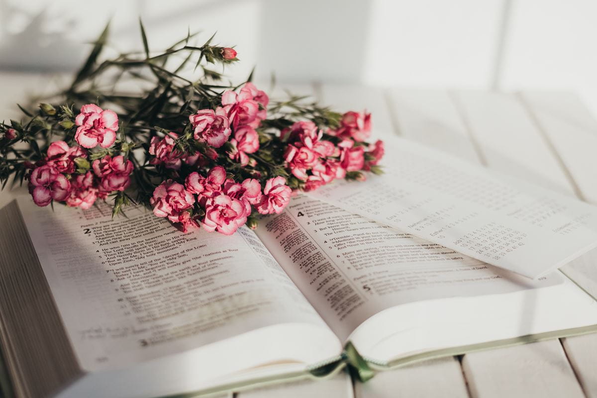 From Victim to Victory | Daily Devotion from Joyce Meyer