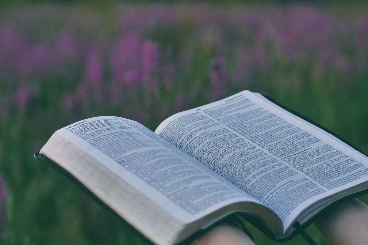 No Excuses | Daily Devotion from Joyce Meyer