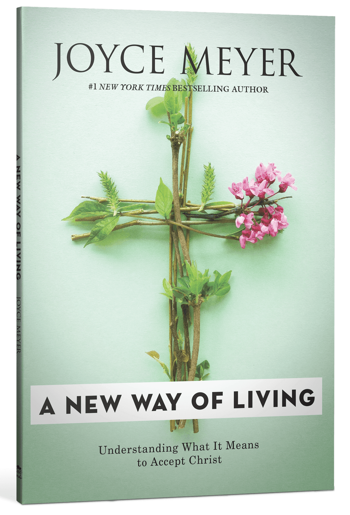 Joyce Meyer Ministries | New Way Of Living